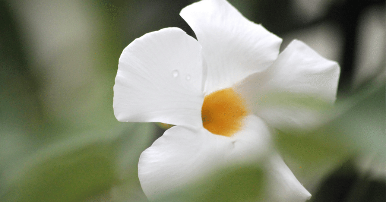 資料作成についてご依頼いただきました｜WORKS｜teaspooon｜Web・EC・HP・SNS等のご提案から解決まで身近なパートナーとしてサポート