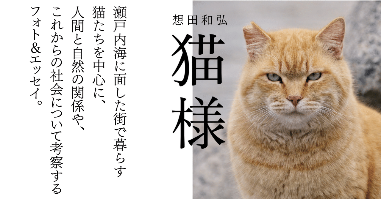 想田和弘『猫様』冒頭試し読み｜HB ホーム社文芸図書WEBサイト