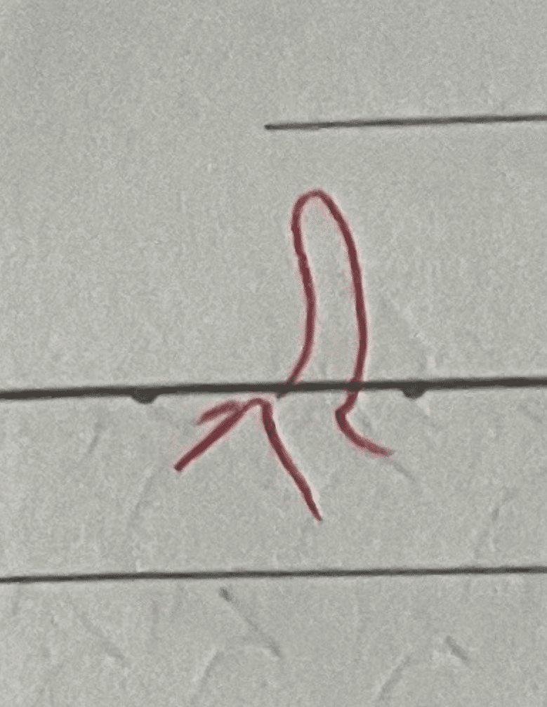 チベット文字筆記体の書き方（お手本つき）｜Masataka INUI