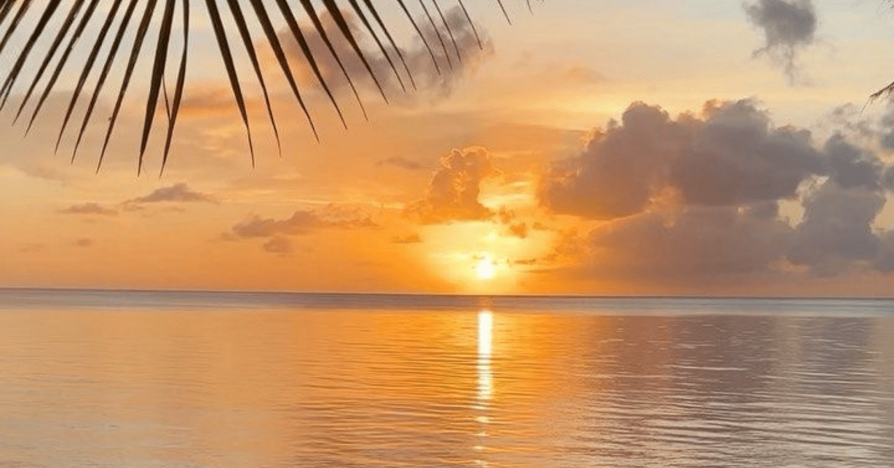 ヨウキャマインド｜mayuko | ヨウキャマインド