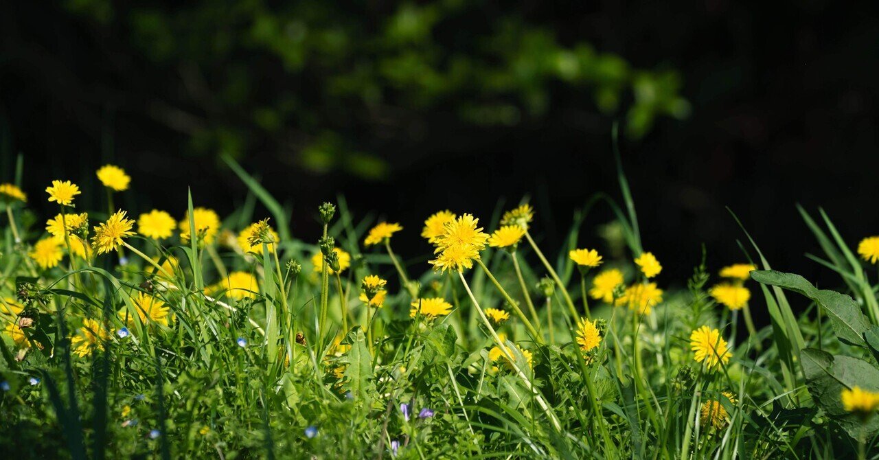 警句 22｜masataka