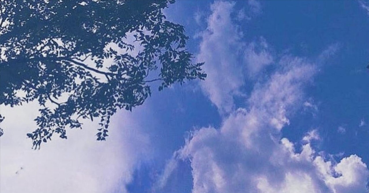 Great3を知ってますか？｜SummerCat