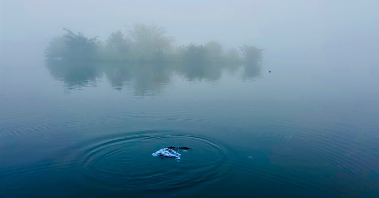 個展【Op. 20a】｜Arisa Mitsui