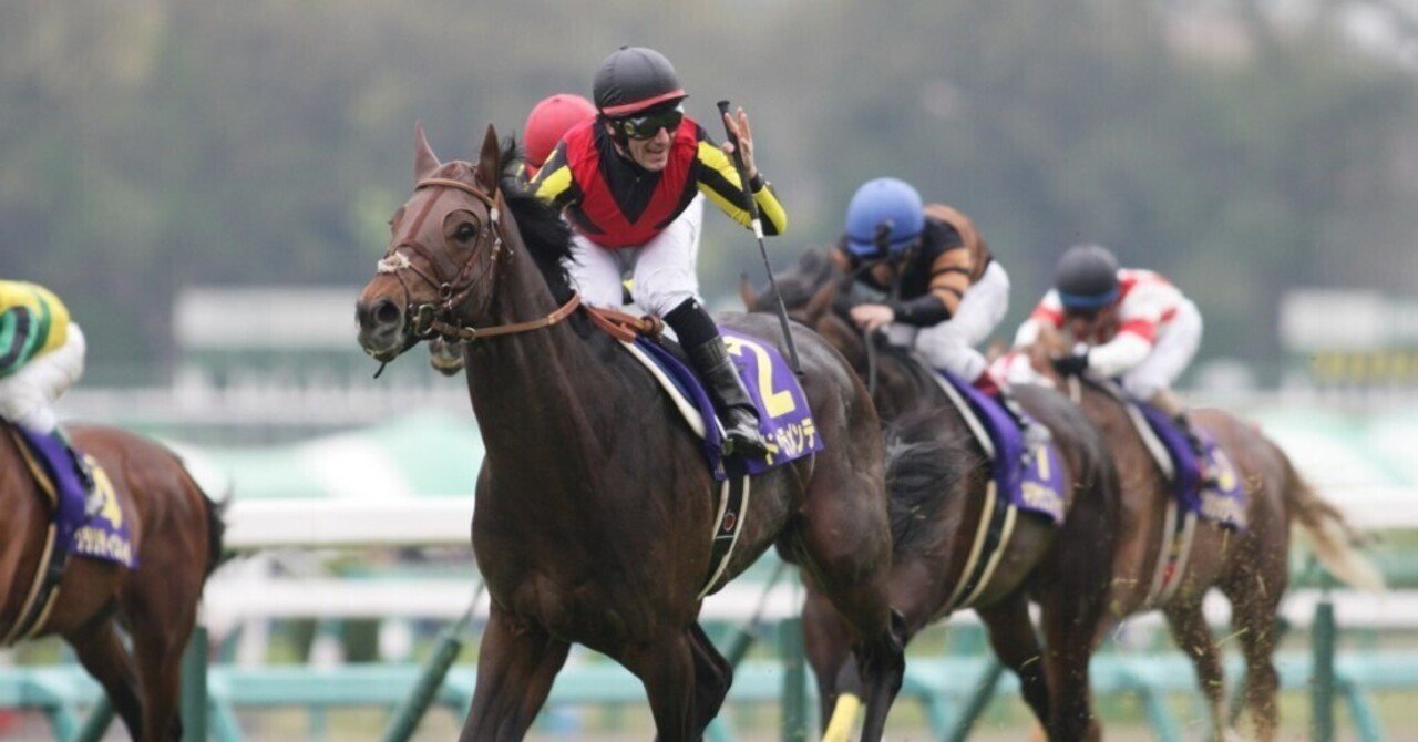 🔥20241012(土)中央競馬予想(9レース)🔥|🏇ラブル*中央競馬予想🏇