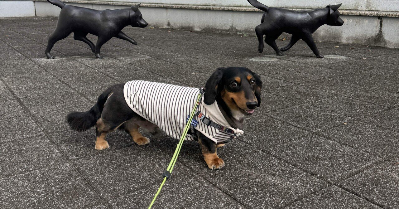 資料撮影へ｜KASA@BREAK BACK