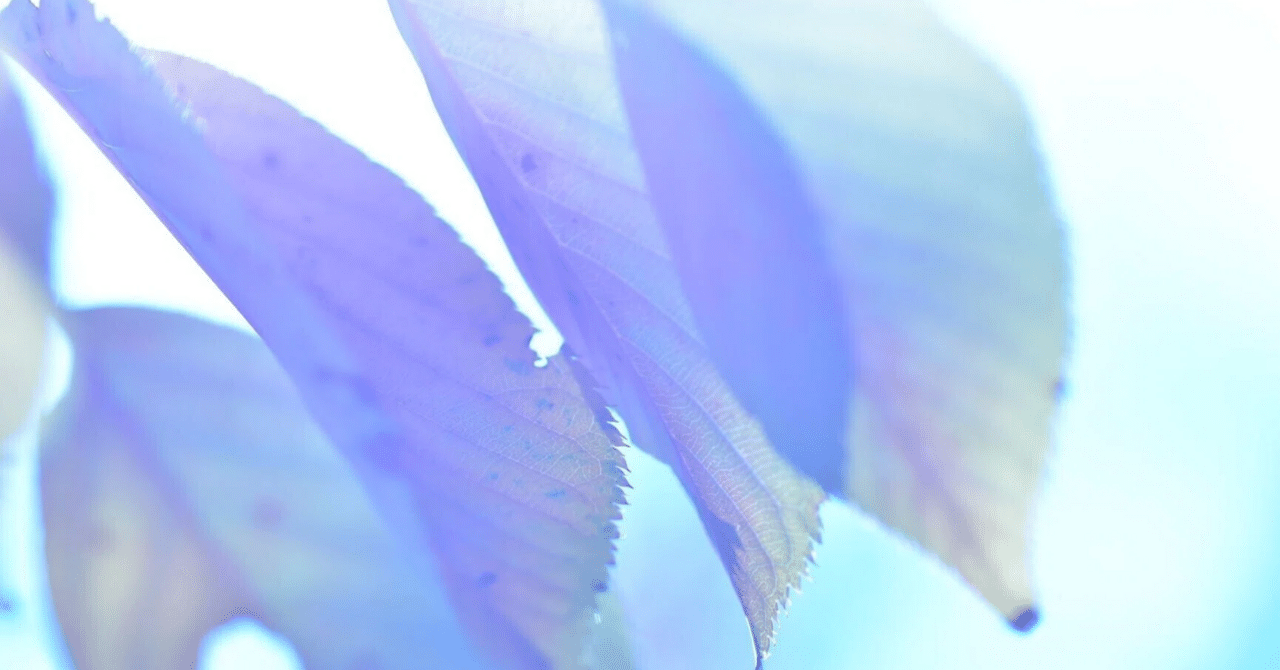 noteを始めて3週年らしい。今の私の変化。｜notet