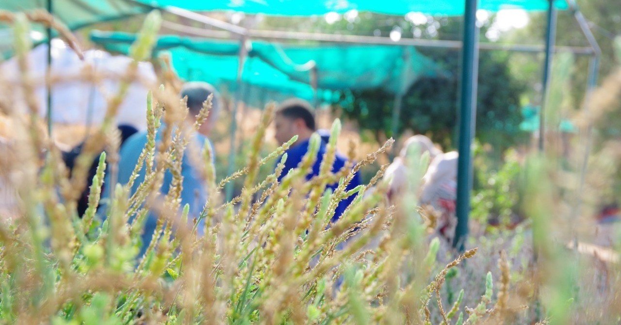 知る人ぞ知る植物園があっても良いのでは【JOCV Day113】｜Rami (رامي)