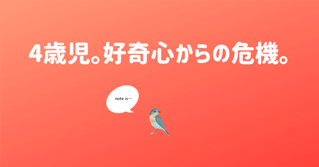 4歳児。好奇心からの危機。｜bocci-note｜ゆる～く…でも、本音だけを発信していくよ