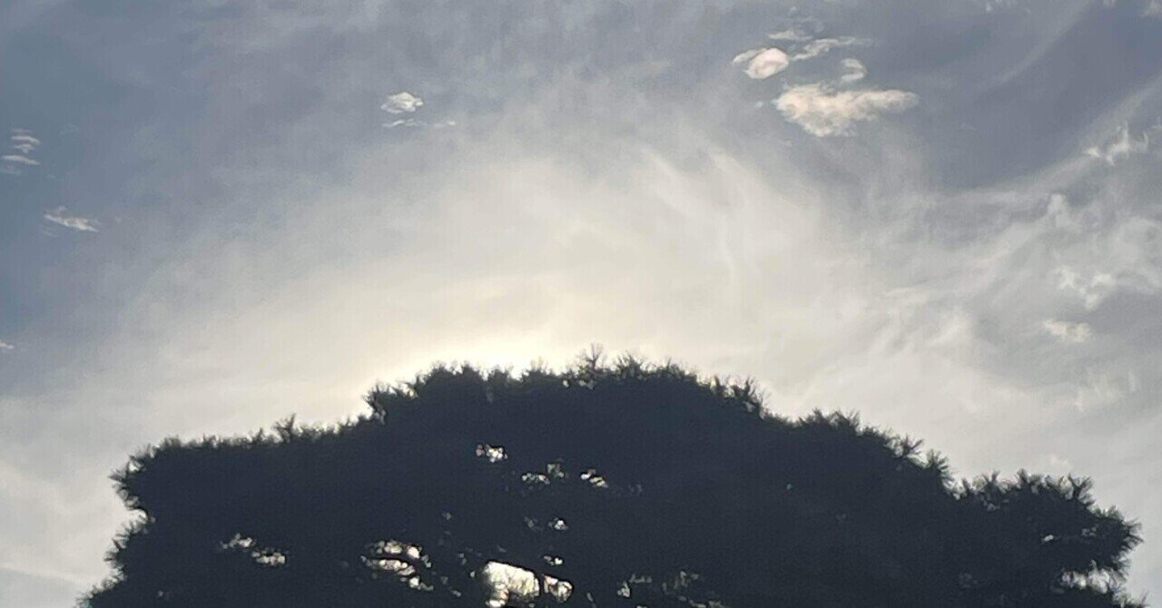 警報は、必要ない時には切れるように｜Akiko Yukishita／yukidoke（イールド、CS60）