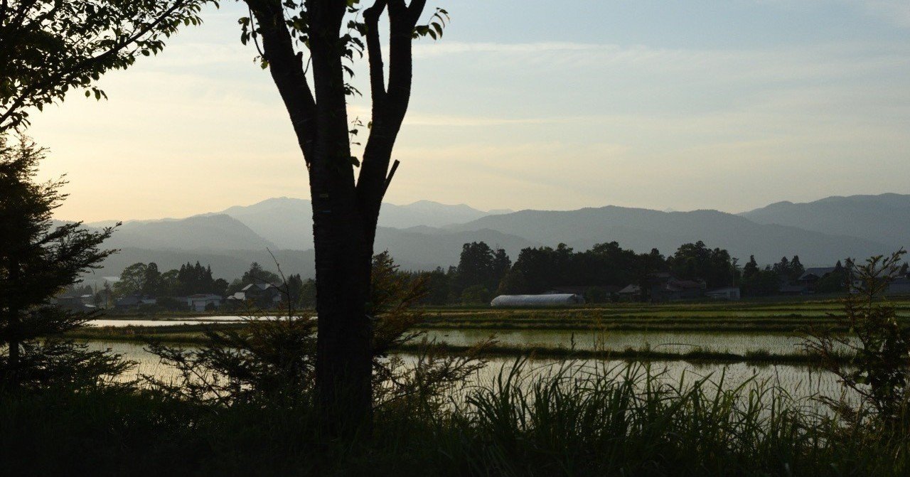 自分なりの写真を楽しむということ｜kbfm｜note