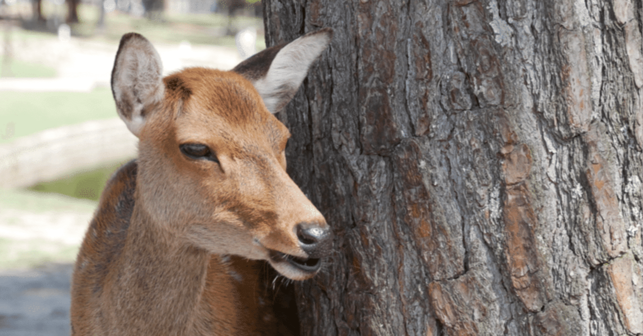 今だから…分かる？｜sanngo