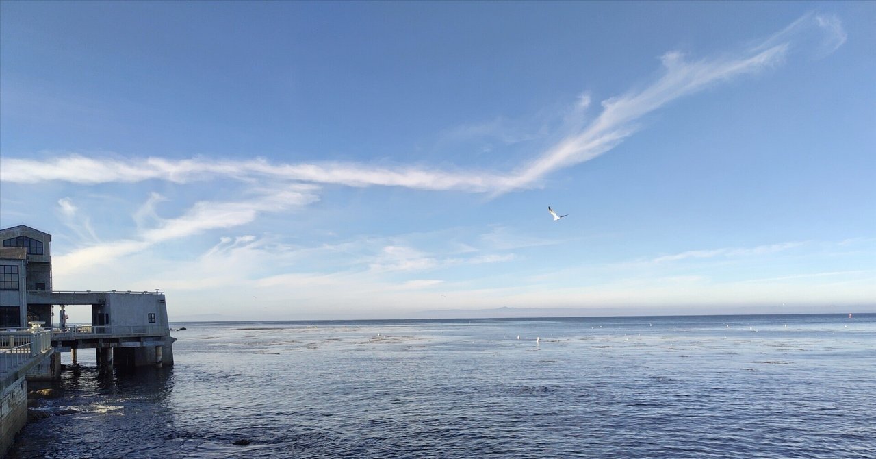 Refresher Leave at Monterey, Day5｜Noriko Kato