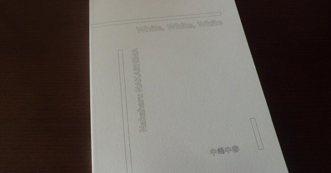 中嶋中春『White, White, White』を読みはじめる前に｜薄井 灌 Kan Usui