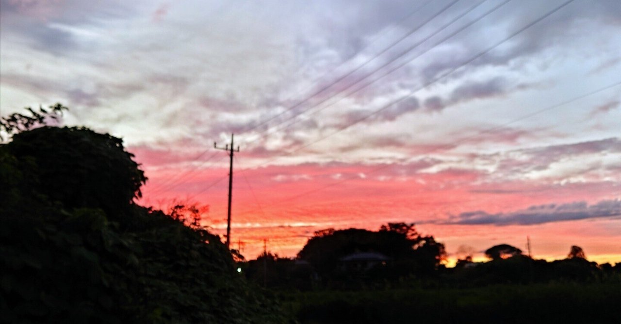 【短編小説#26（官能小説）】｜shichi_mibu