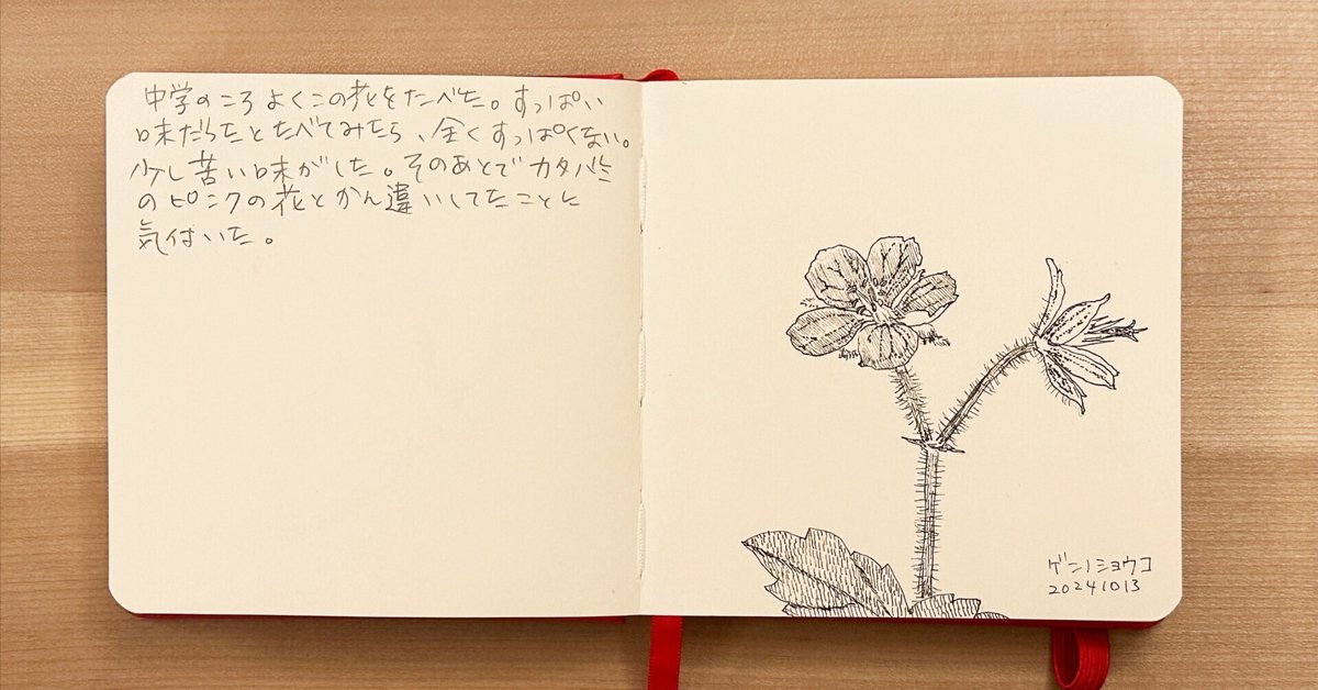 20241013｜桃山鈴子