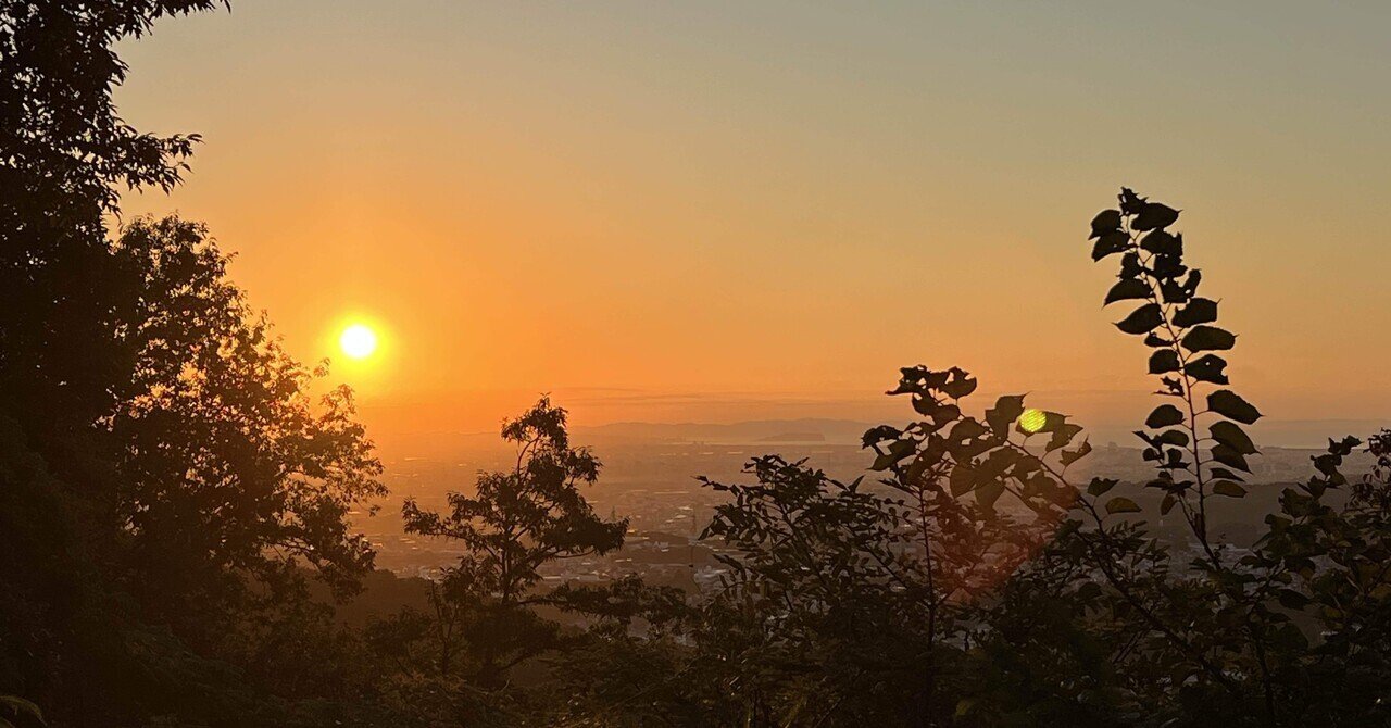 DAY 69 痛み止めを飲んで｜jucon110