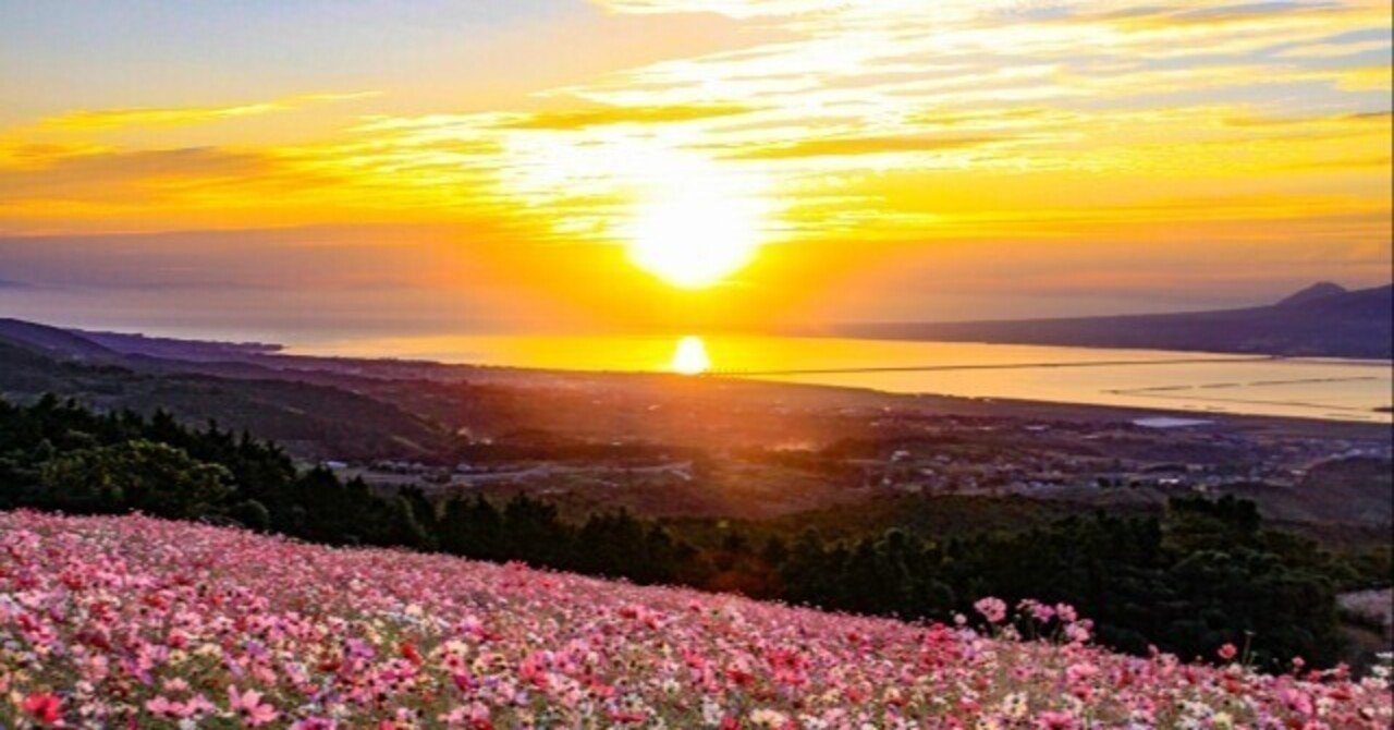 【社会考】明るい「明日」はあるのかな？.｜korotyan