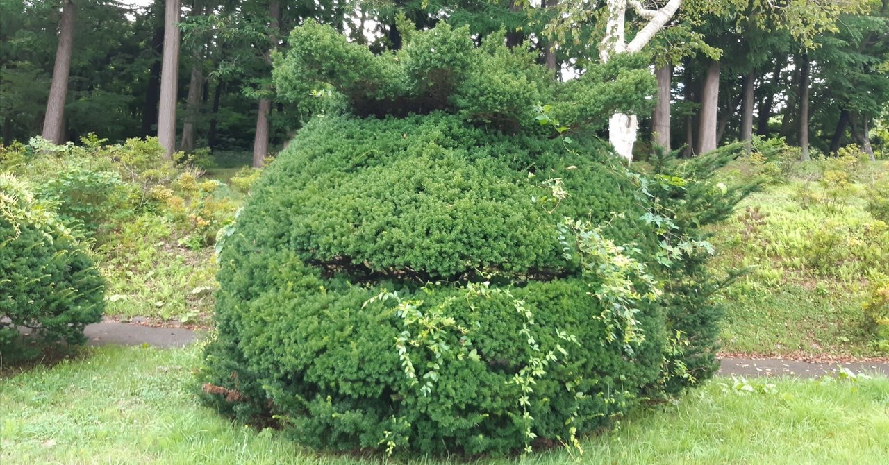 考えるより 感じる｜虹の彼方から Bright day EIKO