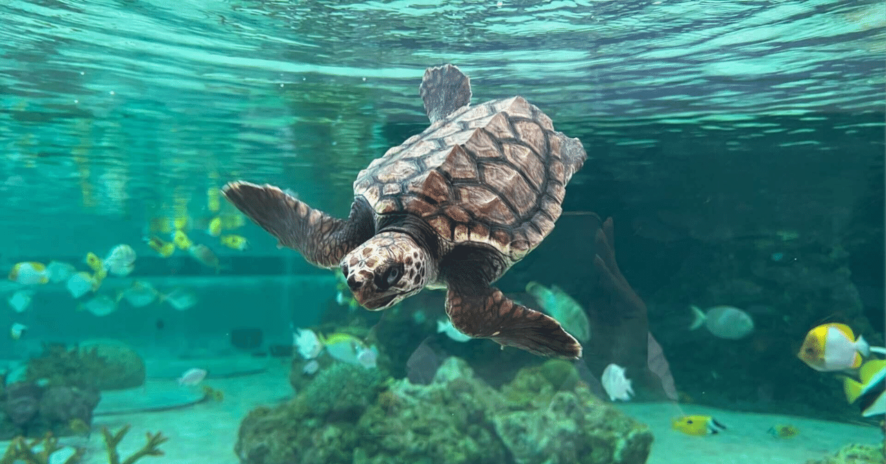 とあるGPTとの対話録 「Scanner」「コマンドライン引数args」「public static void main(String ...