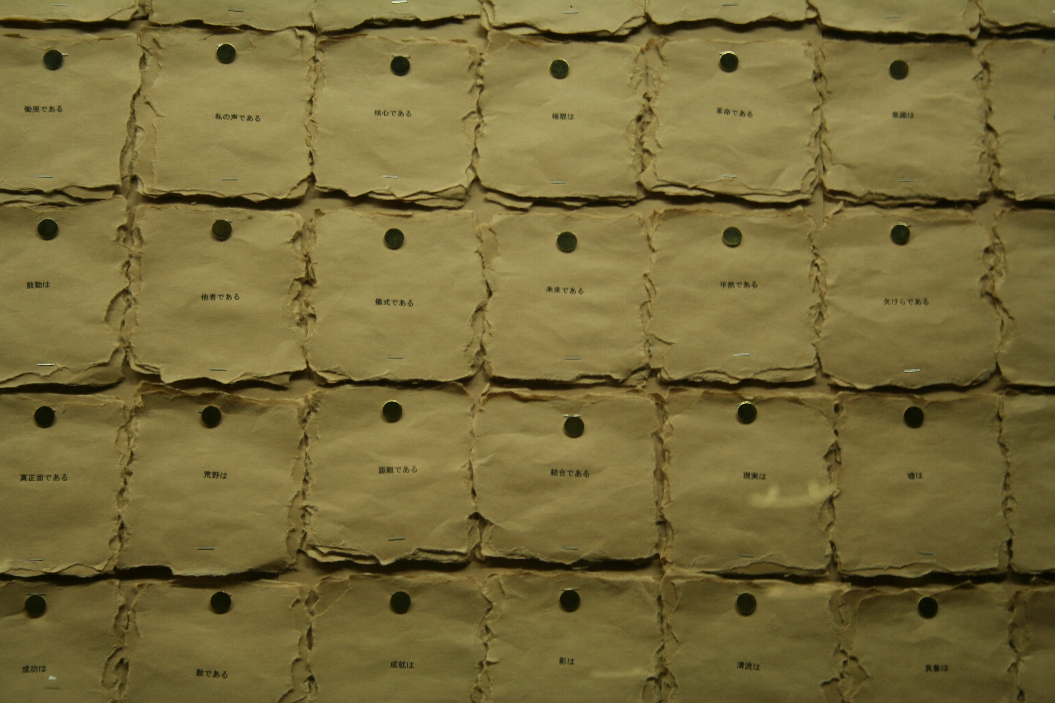 1560回目 10月14日（月）写真は、「NcN」2｜市川裕子