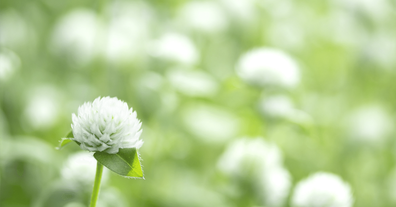 【英語】結局「自分語」を作る、って話。｜neji bit