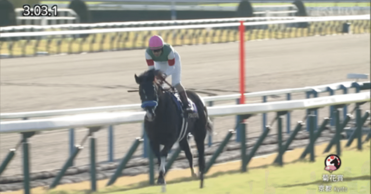 菊花賞 No.1｜shige