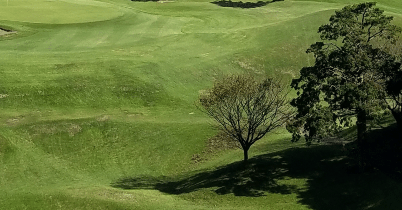 キャンプ初心者必見！設備とサービスの比較で選ぶ5つのおすすめスポット｜rira mona