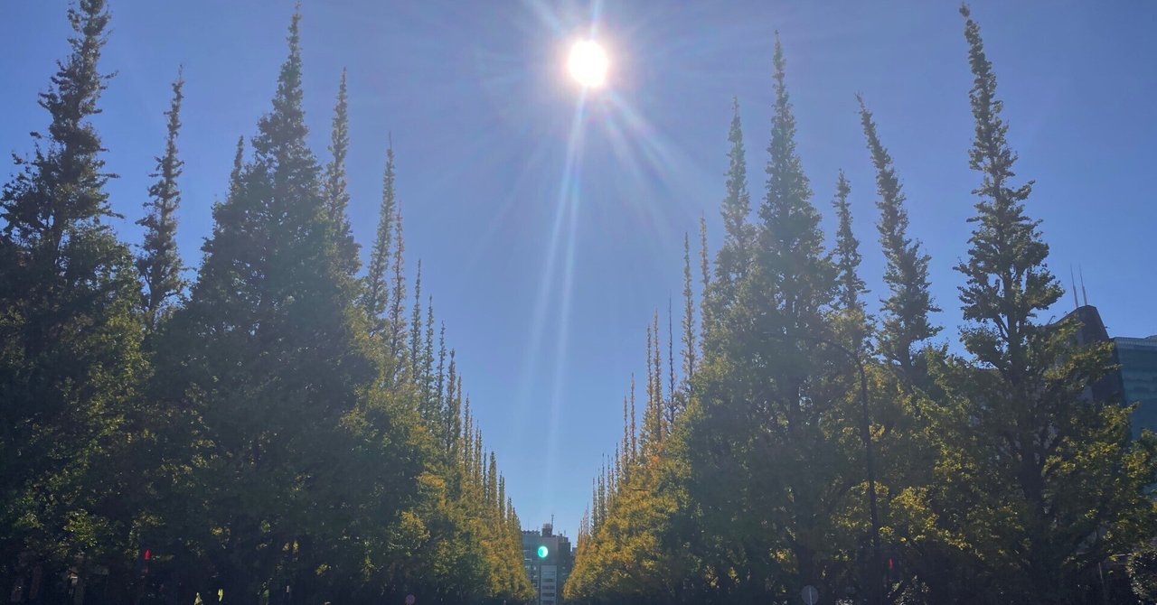 Tokyo Big ginkgo tree Map｜バオバブ堂