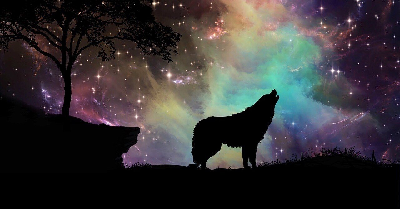 Dai競輪予想🐺｜note