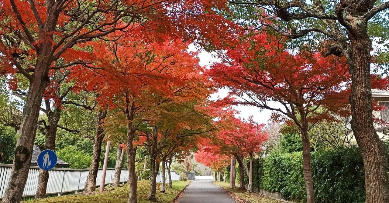 名言をいただきました｜sala