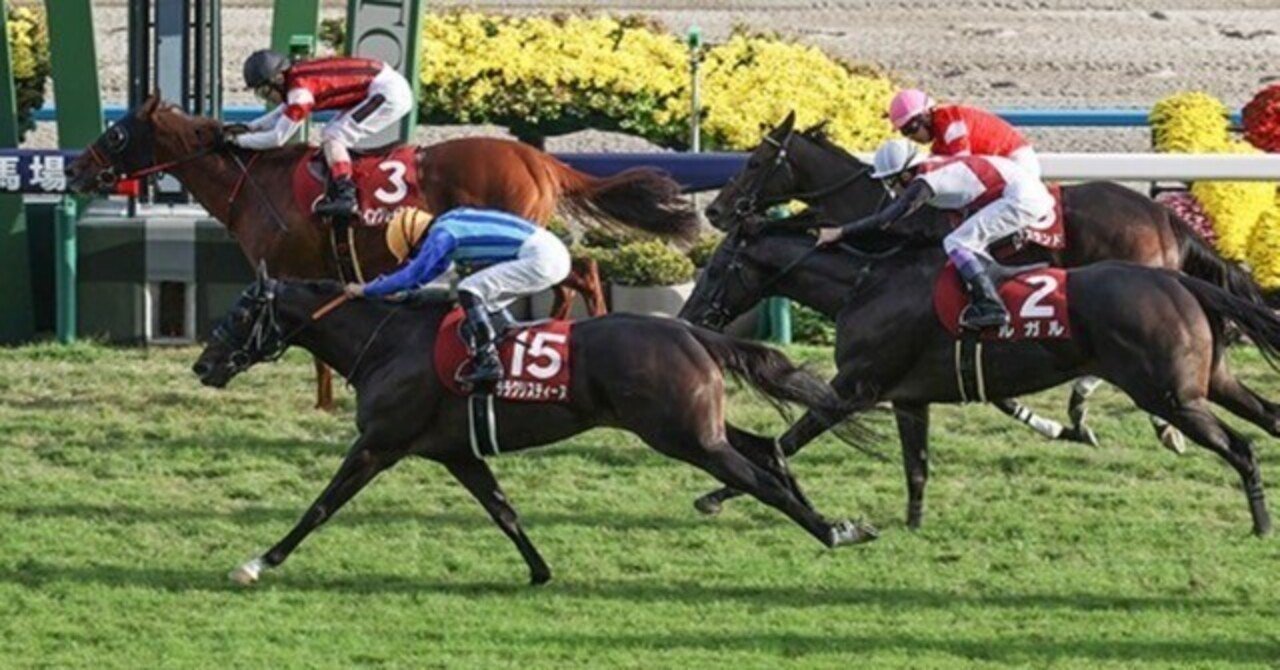 【2024 スワンS（G2）】日刊馬番コンピ指数分析予想篇｜Haya