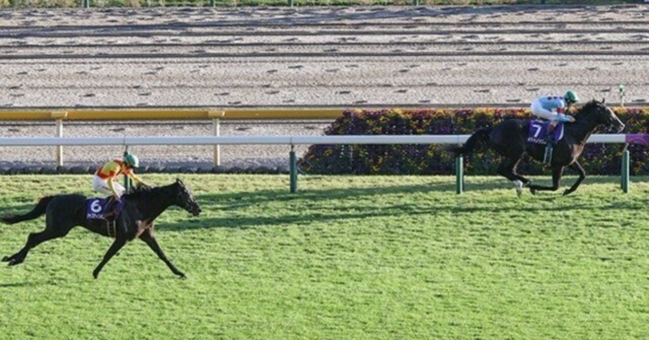 【2024 天皇賞秋（G1）】日刊馬番コンピ指数分析予想篇｜Haya