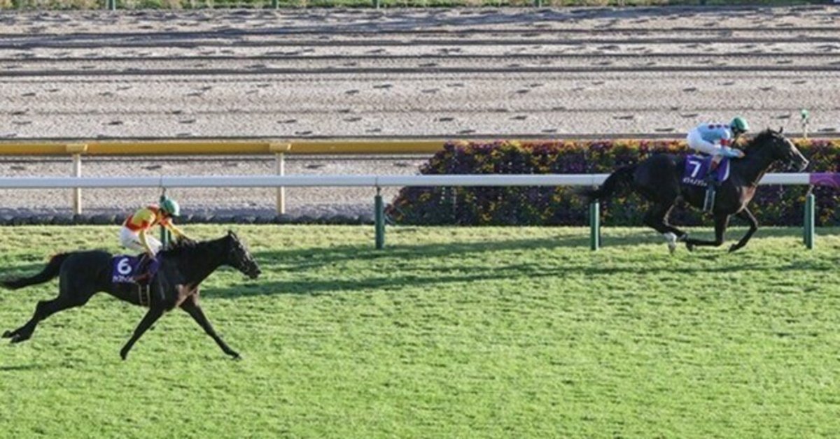 【2024 天皇賞秋（g1）】日刊馬番コンピ指数分析予想篇｜haya
