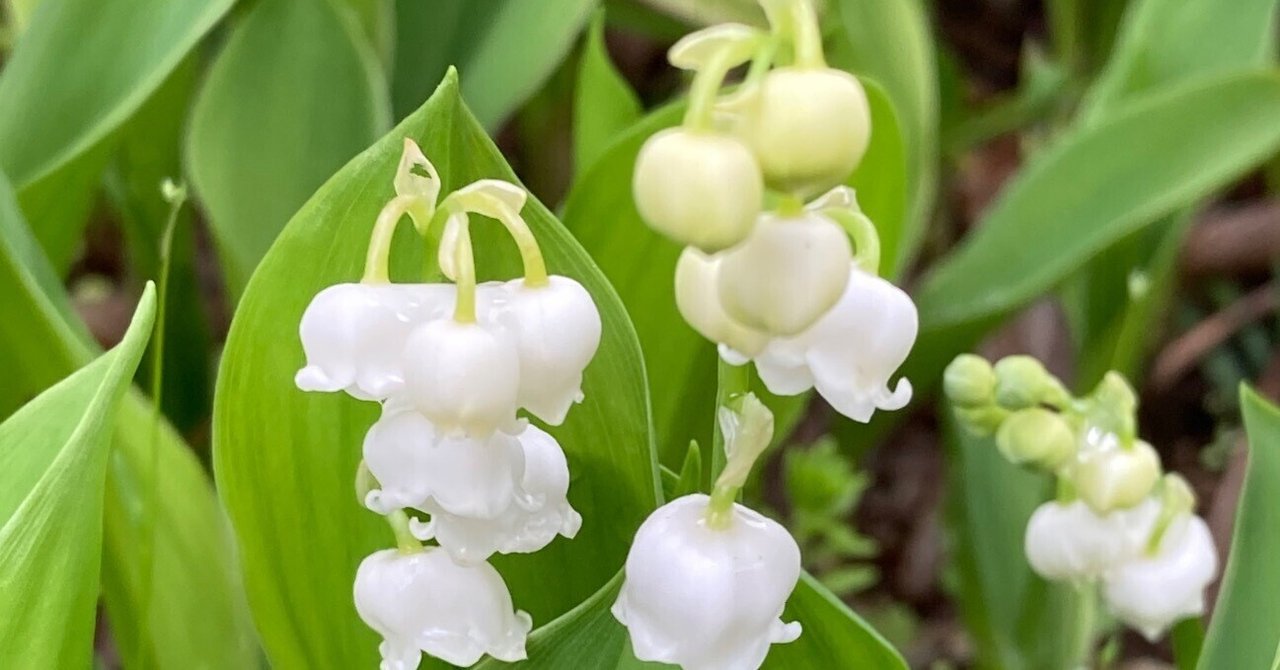 自己紹介｜kaori