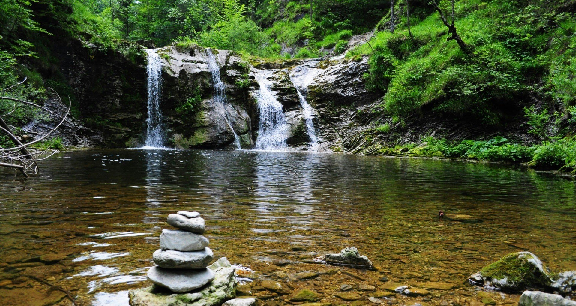 禅に学ぶ 子育ての極意シリーズ｜422 yasu｜note