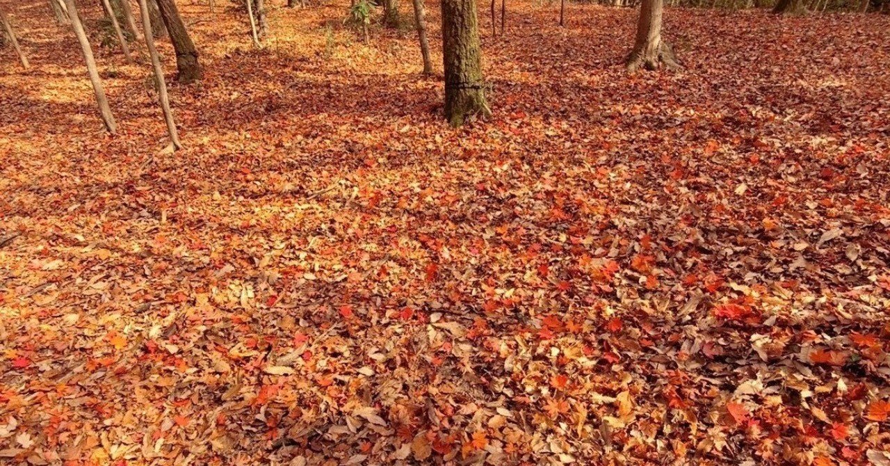 Three Good Things 〜発表、パレード、気づき｜Mika Sudo