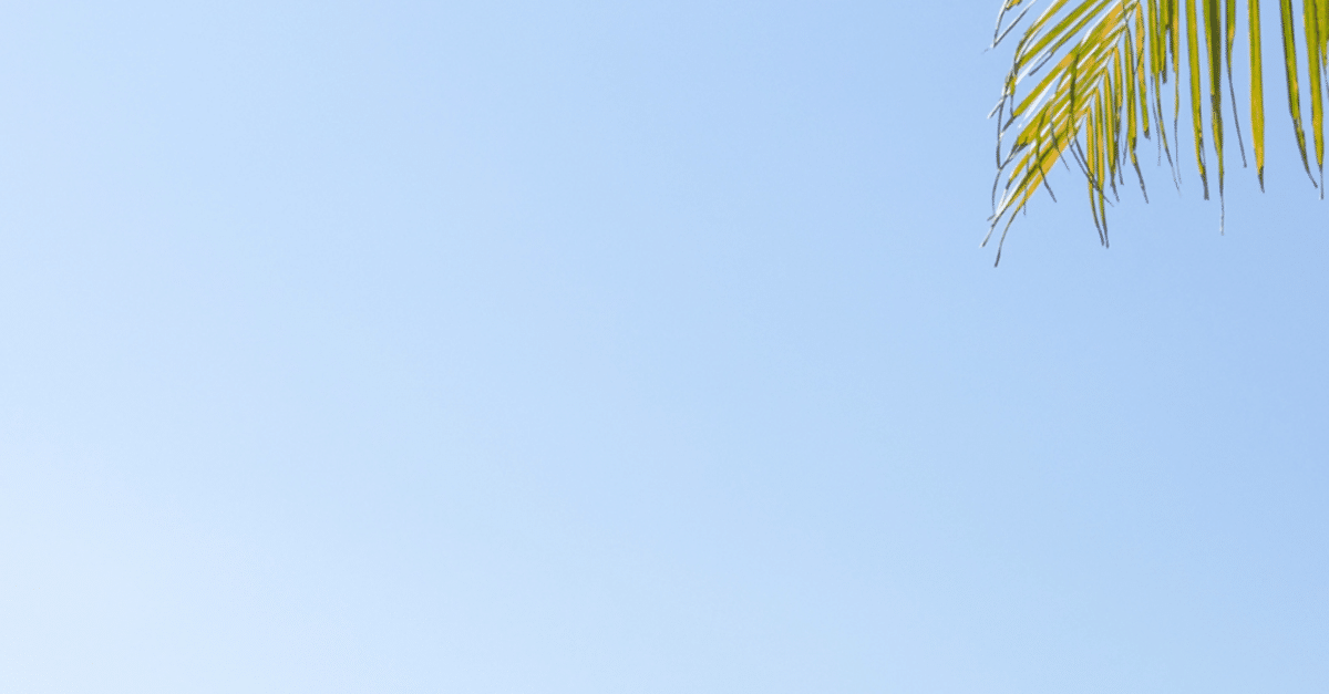 【no.121】遅めの夏休みのお知らせ｜CAFE Kiitos - カフェ キートス店主