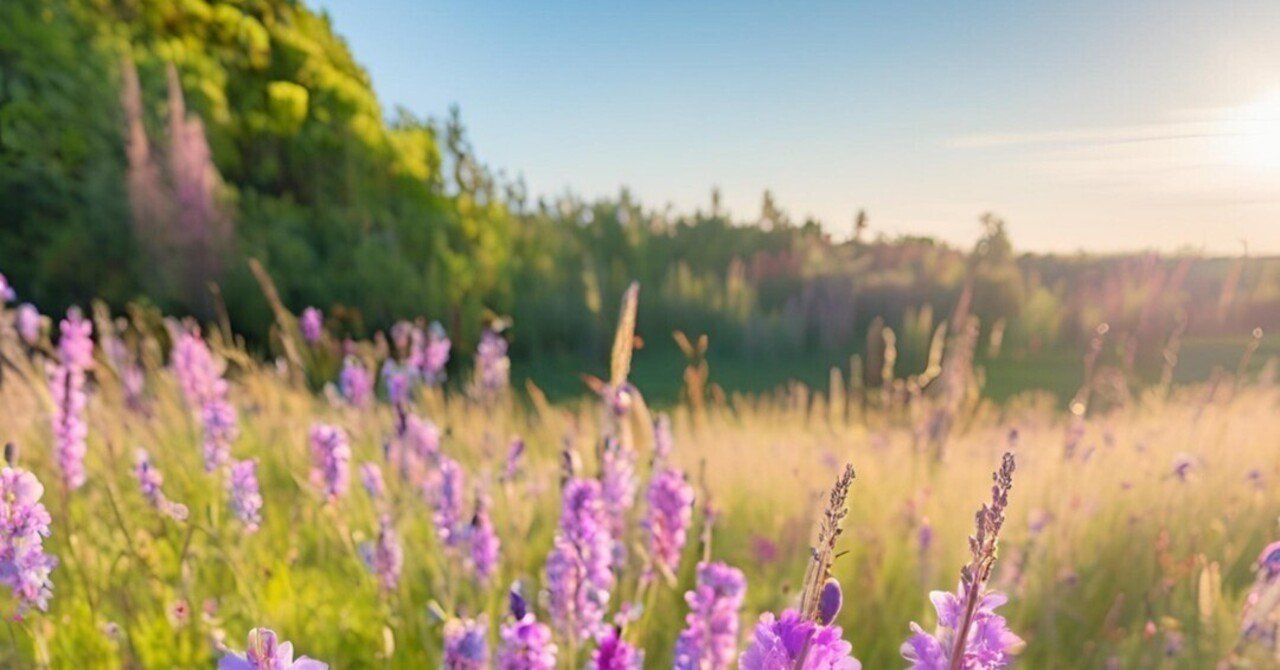 その選択、正解だった？｜asaka/暗号資産を語る花屋店員