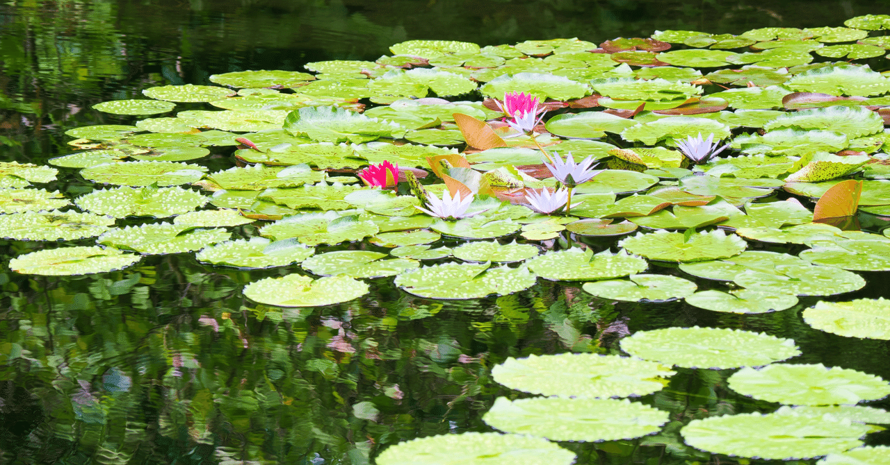 GLORIOUS WORD DEVOTIONALBY PASTOR BERNARD EFA OCTOBER 17, 2024LIVE ...