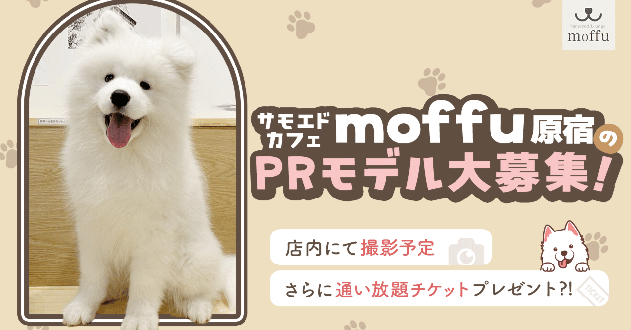 【犬好き必見👀】サモエドカフェ moffu 原宿のPRモデル大募集！🐶💓｜ネクスタ
