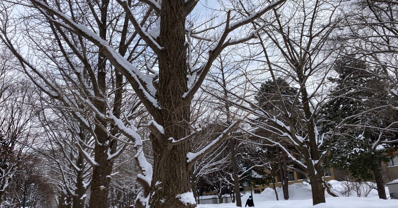 にしは桜になれ。｜Munakata Shun