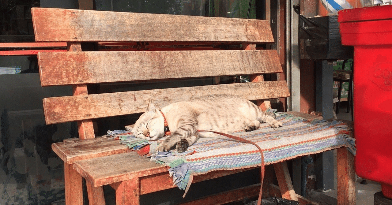 座ったままできる筋トレ｜hanasoraen