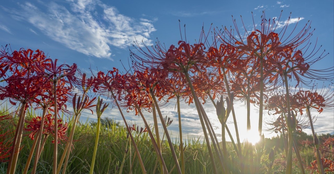 第二十八章 : 光妙｜Masayan_Kendi