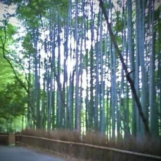 （08）しんでん｜虚空