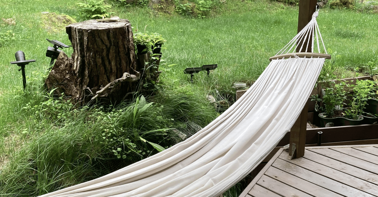 今日の軸馬 - 24/10/19｜つばみ / Ryosuke Murakawa