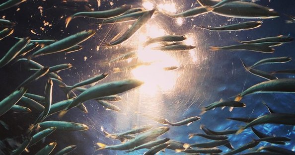 三流サラリーマンKEN｜note