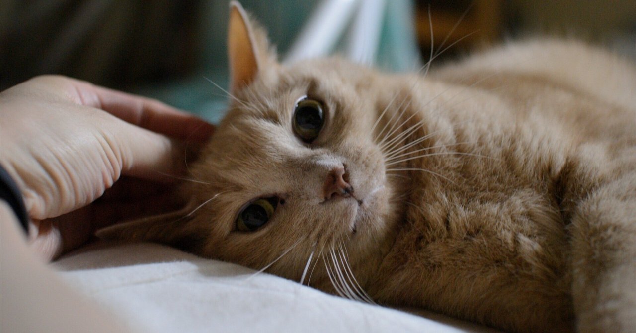 【継続力】ゼロ秒スタートでつづける｜ryosukewexer