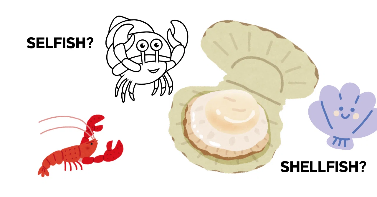 【発音コツ】早口言葉で発音を鍛える③Selfish と Shellfish の違い｜yukas_80