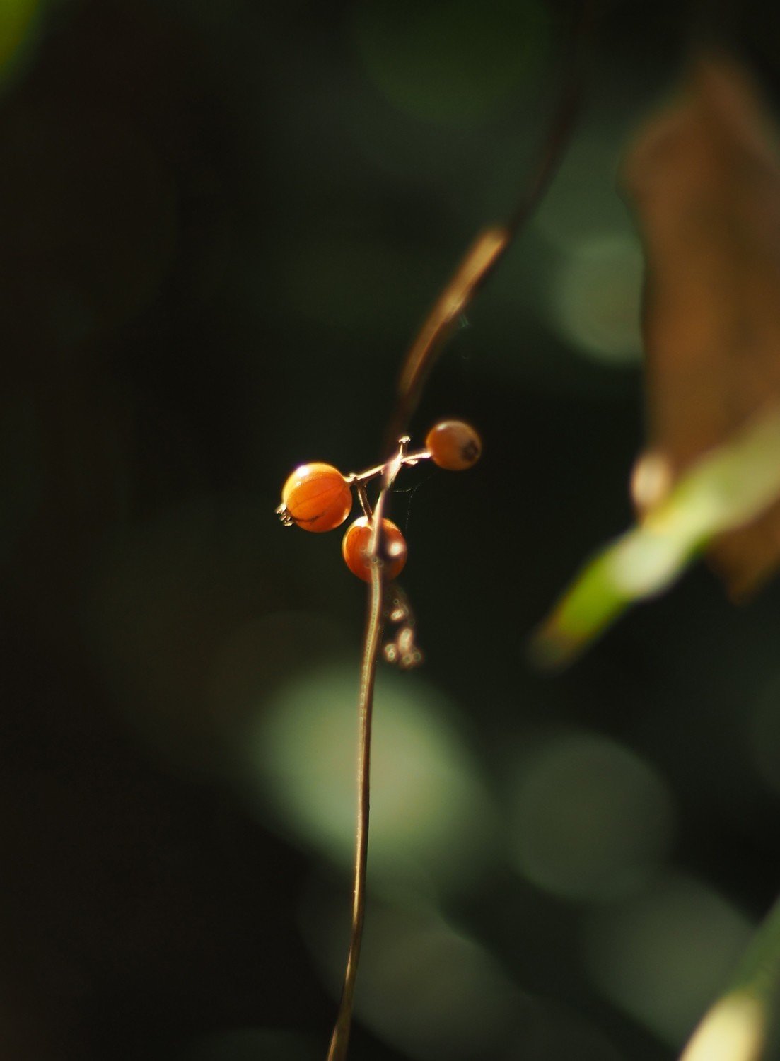 リハビリ @meijo koen｜毒多｜note