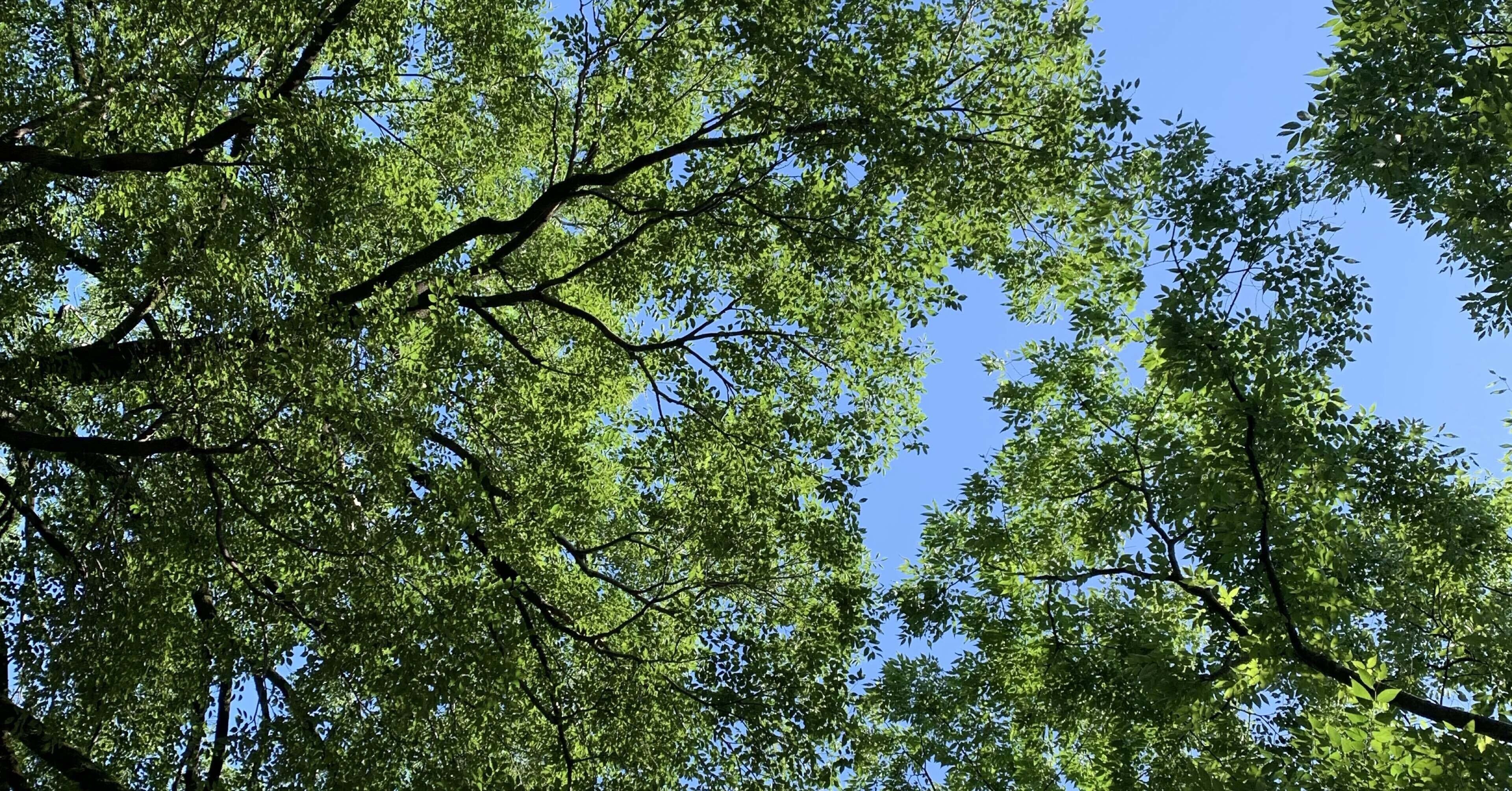 Ebata Kazuhiro｜note